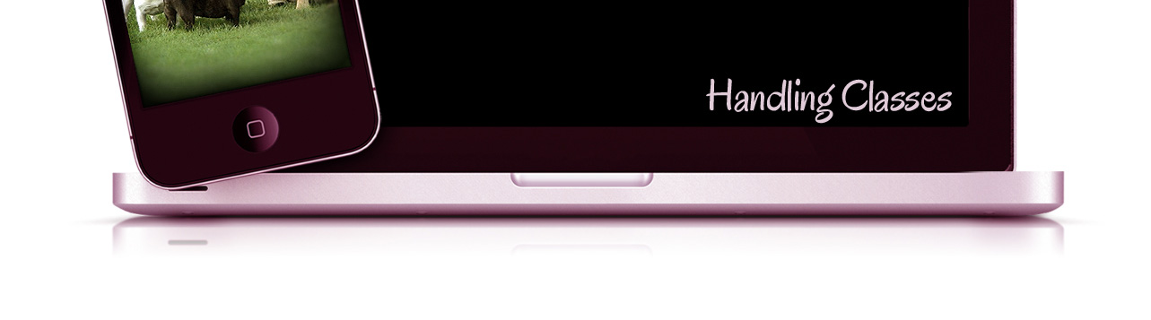 Pam's Handling Classes - Classes!